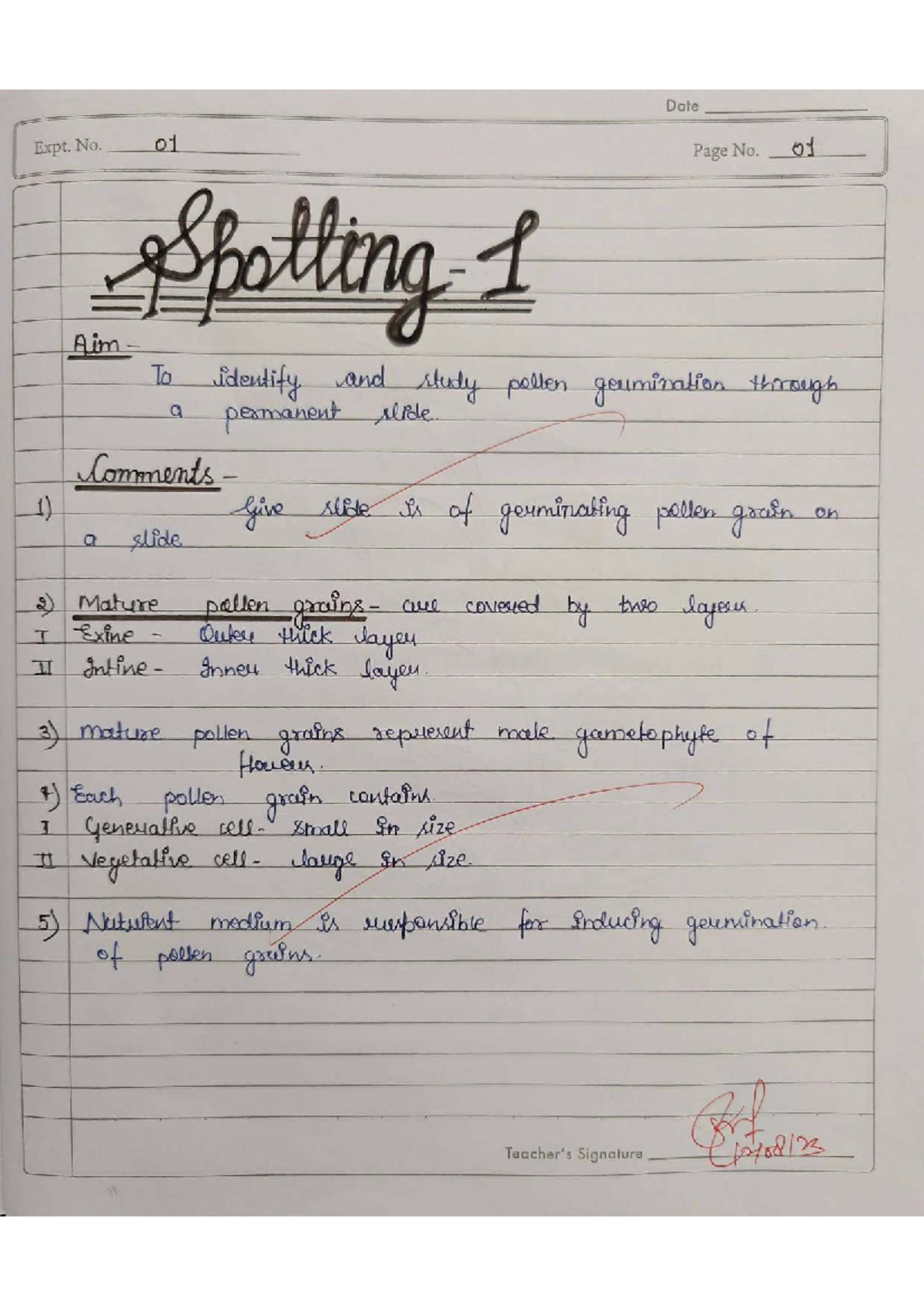 Biology Lab Report: Pollen Germination & Genetic Traits Analysis - Studocu