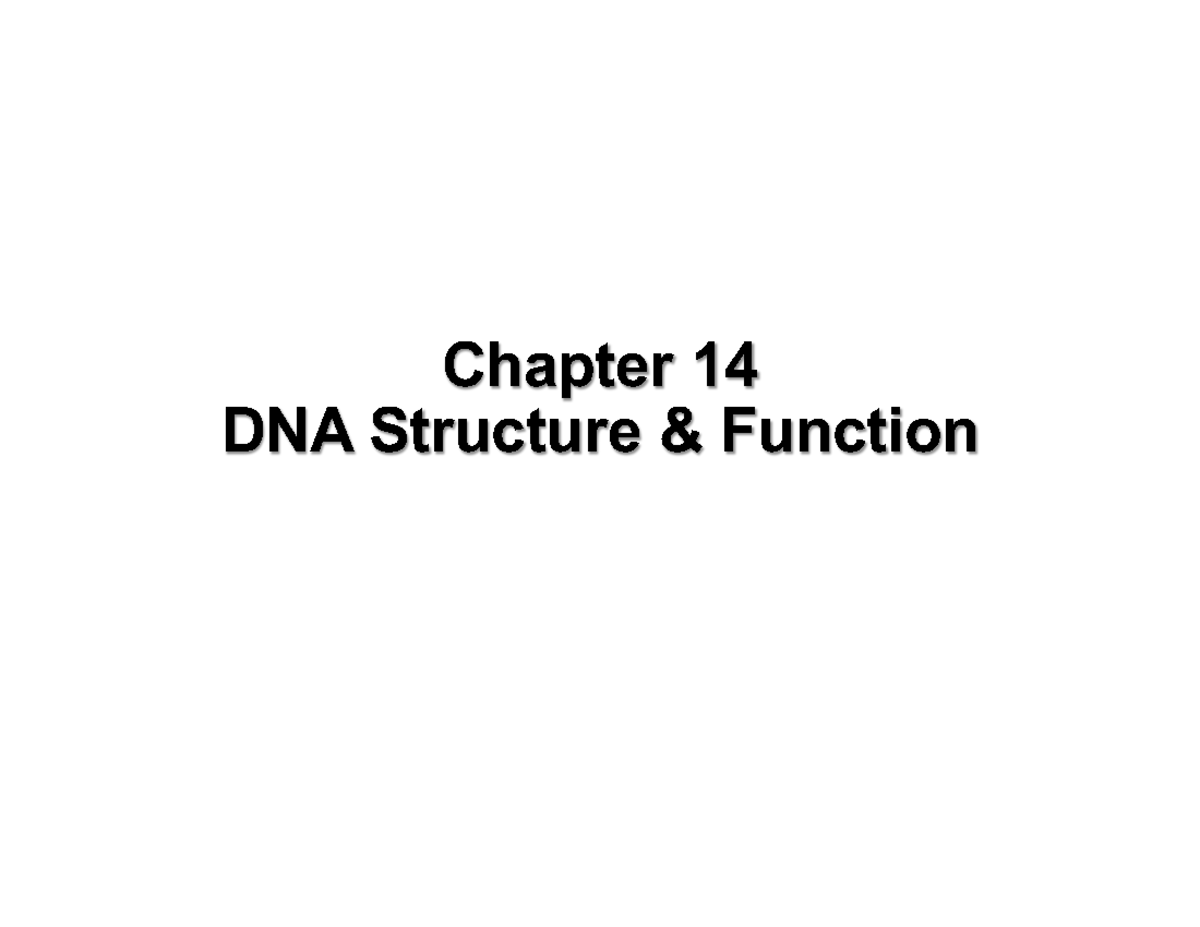 Dna Replication Mechanisms Key Enzymes Chapter 14 Studocu