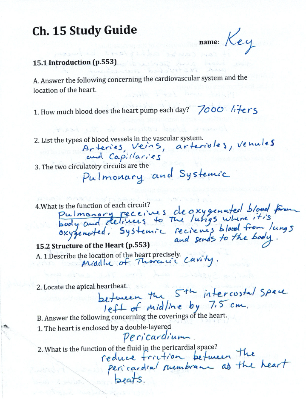 Ch. 15 Study Guide: Cardiovascular System - Studocu