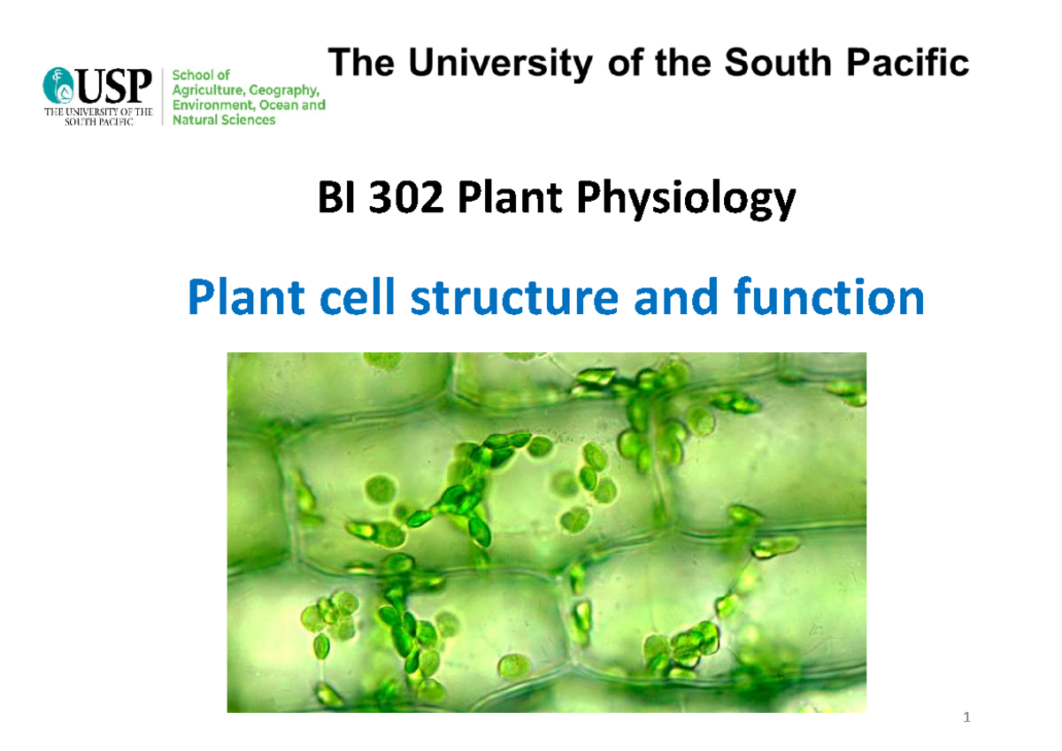 BI 302 Lecture 2: Plant Cell Structure and Function Overview - Studocu