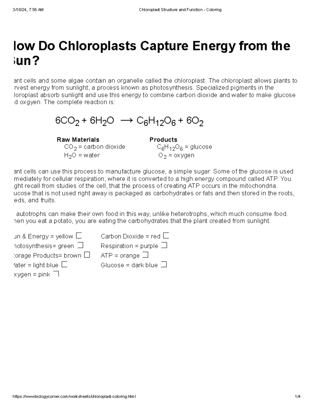 Chloroplast Structure and Function - Coloring - How Do Chloroplasts ...