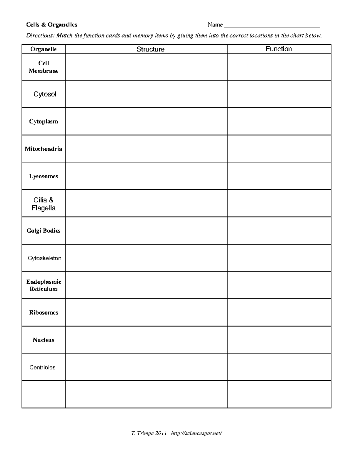 Cells Organelles Worksheet: Functions & Memory Aids - Studocu