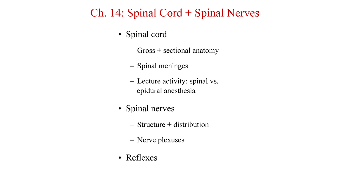Ch. 14: Spinal Cord & Nerves Anatomy and Reflexes Lecture Notes - Studocu