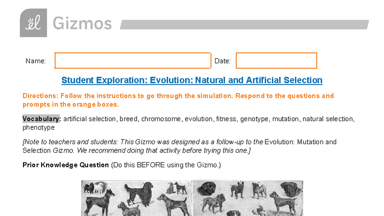 Evolution: Natural & Artificial Selection Exploration SE Document - Studocu