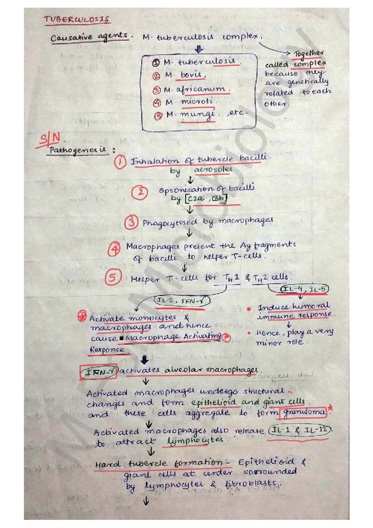 TB Part 1 - Notes on M. tuberculosis Complex and Pathogenesis - Studocu