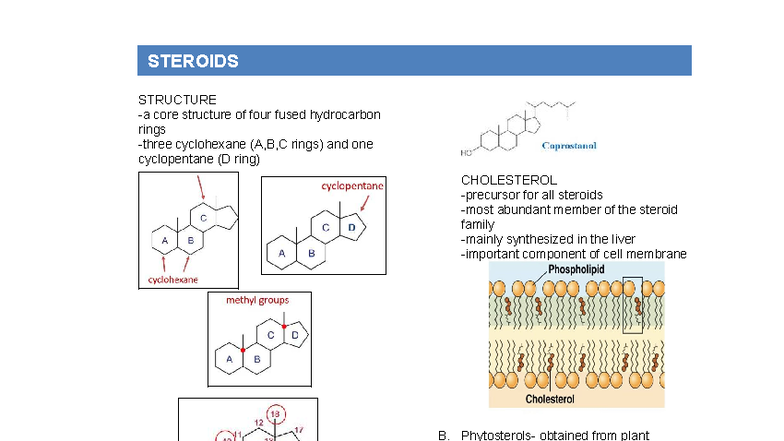 Steroids Structure and Classification: A Comprehensive Overview - Studocu