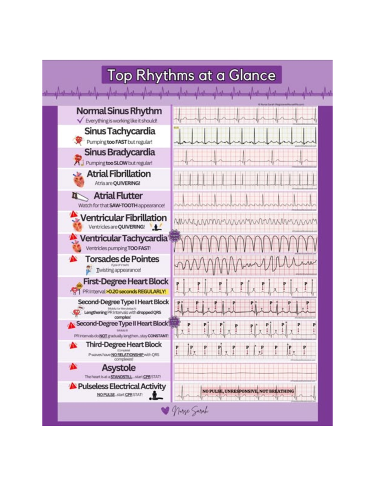 A91002454037 faaa01ee69682 b45e40e - Top Rhythms at a Glance up Ann An ...