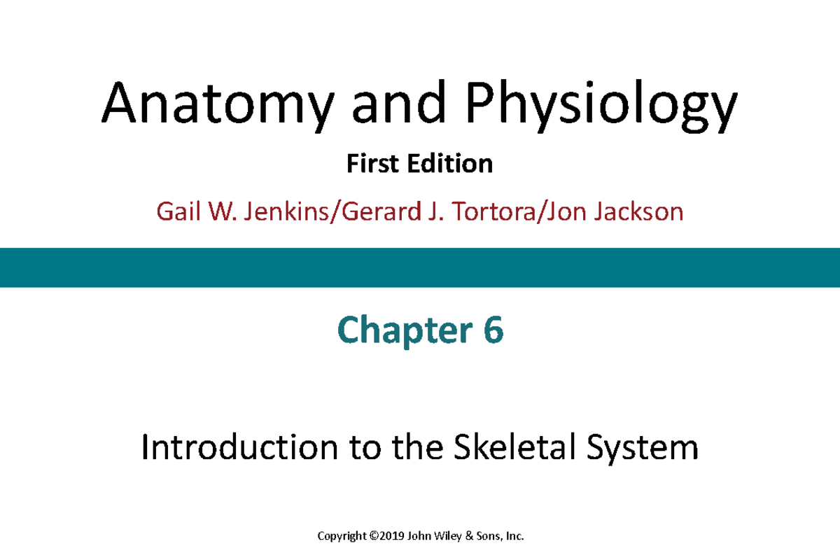 Anatomy and Physiology (AP101): Chapter 6 - Introduction to the ...
