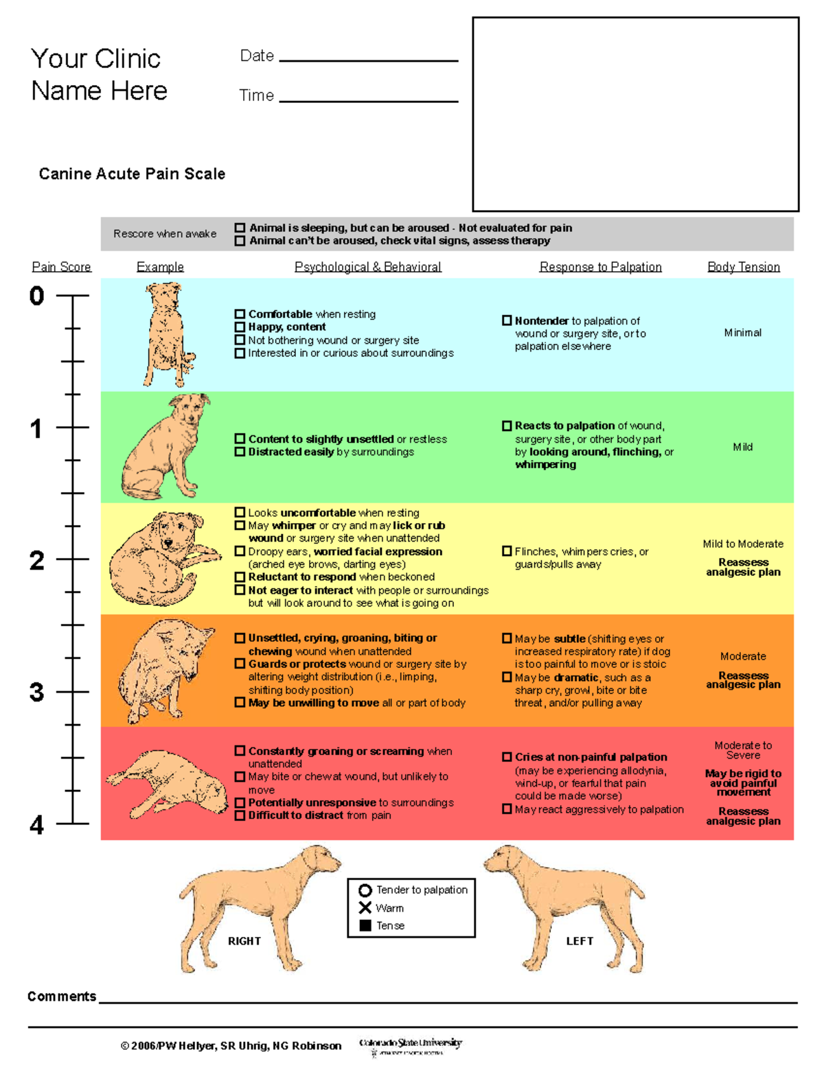 Canine Colorado Pain Scale Assessment Guide - Studocu