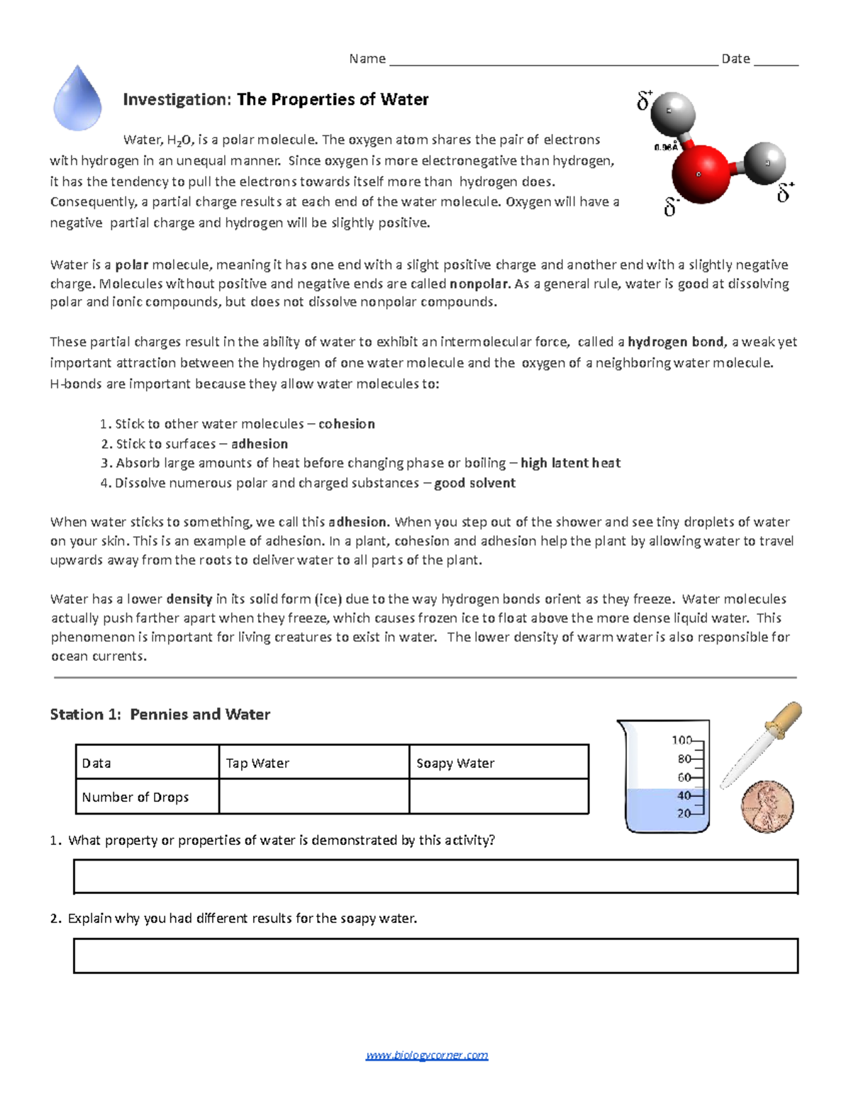 Properties of Water Lab (SCI 101): Investigation & Observations - Studocu