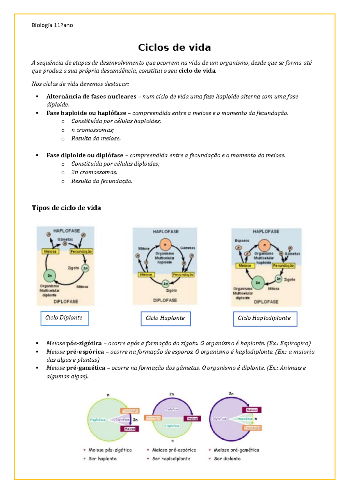 Ciclos de Vida dos Organismos - Biologia 11ºano - Studocu