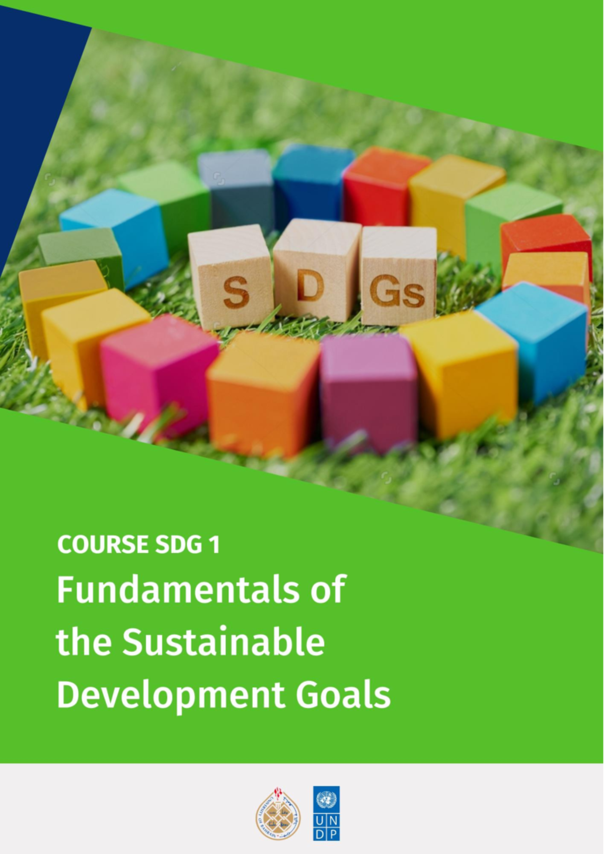 SDG1 Module 1: Historical Background of the SDGs and Agenda 2030 - Studocu