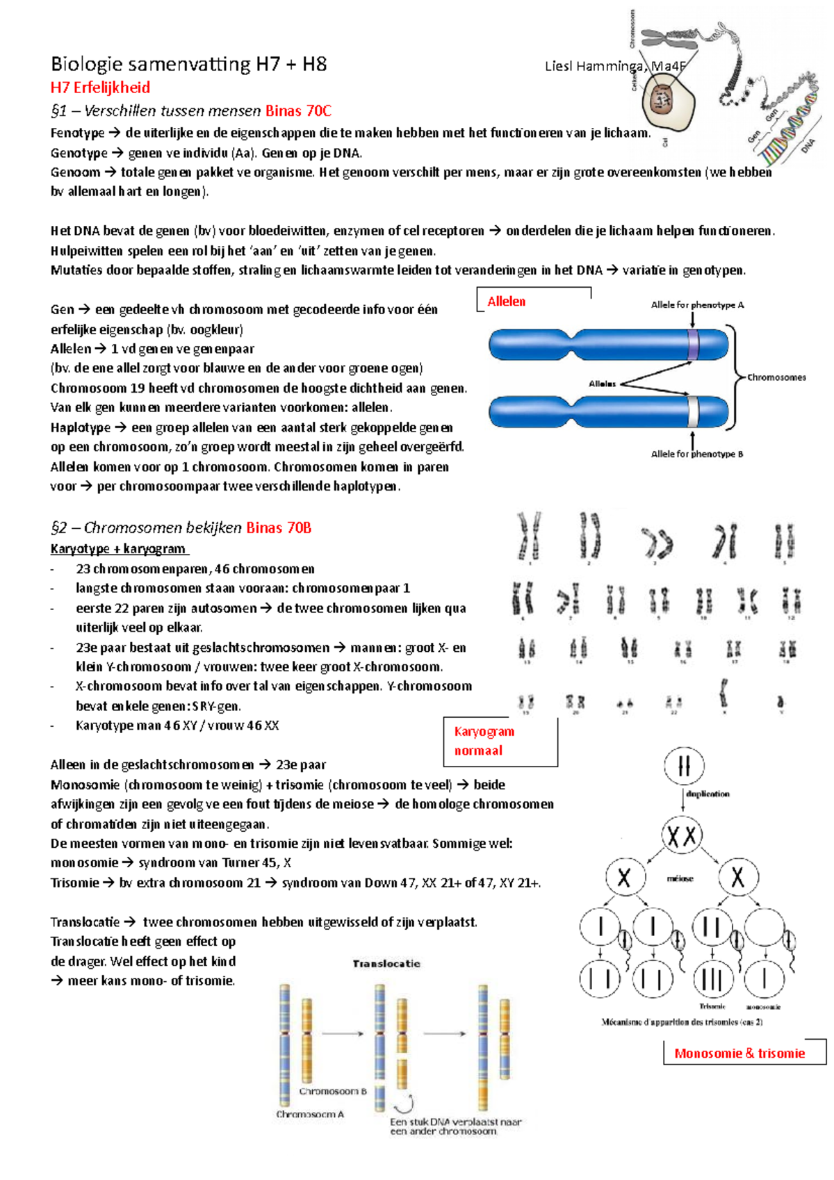 Allel Biologie Voorbeeld Genetik Grundbegriffe: Alles über Vererbung,