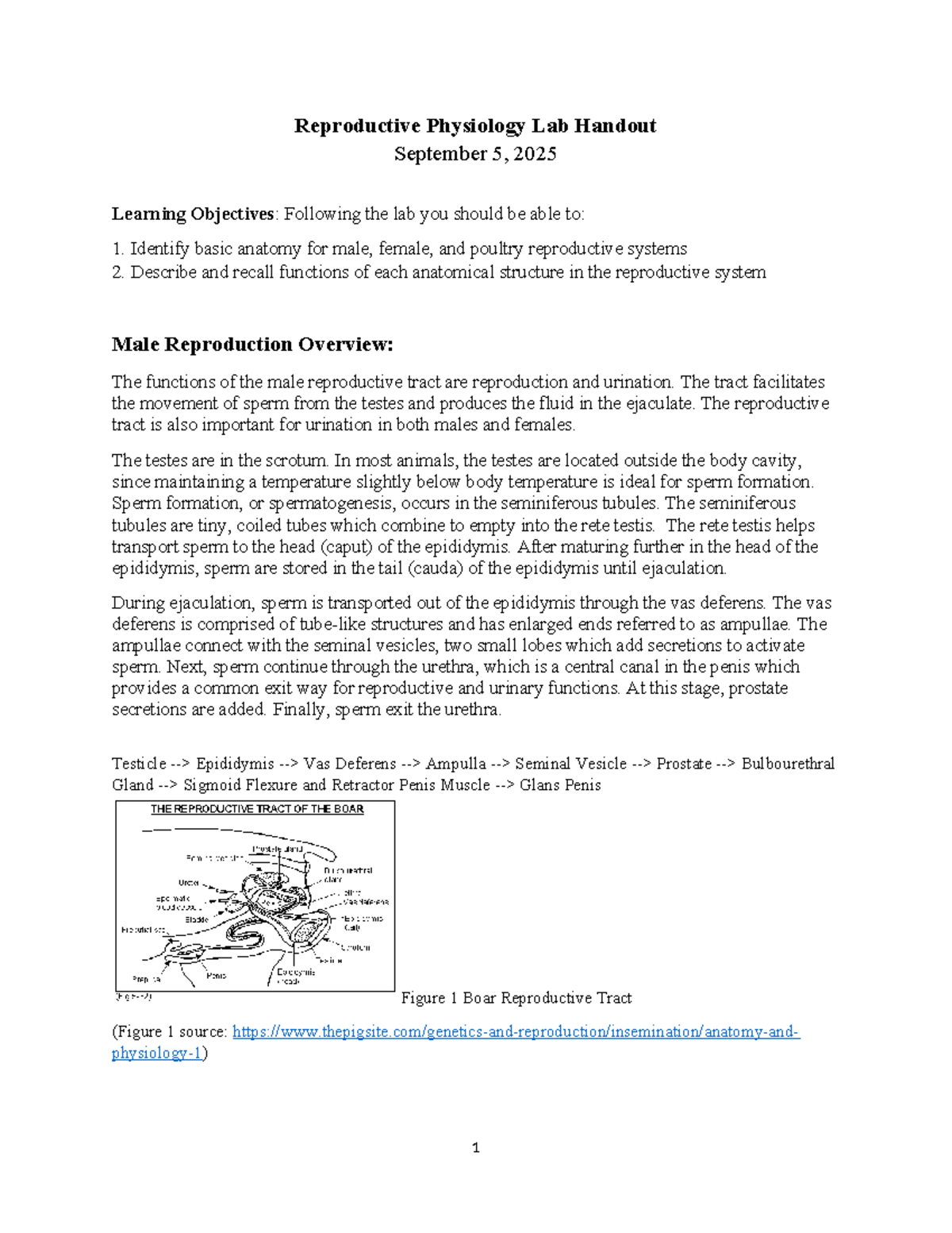 Reproductive Physiology Lab Handout (Course Code: RPL 101) - Studocu