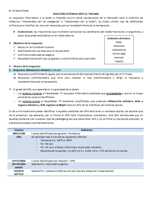 Anatomia de recto y ano - AnAtoMíA dEl rEcto, conducto AnAl y ApArAto ...