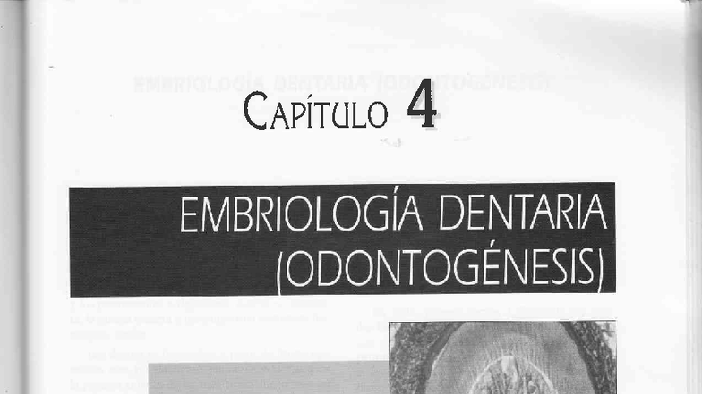 Histología Bucodental: Desarrollo y Morfogénesis Dentaria (DENTARTA ...