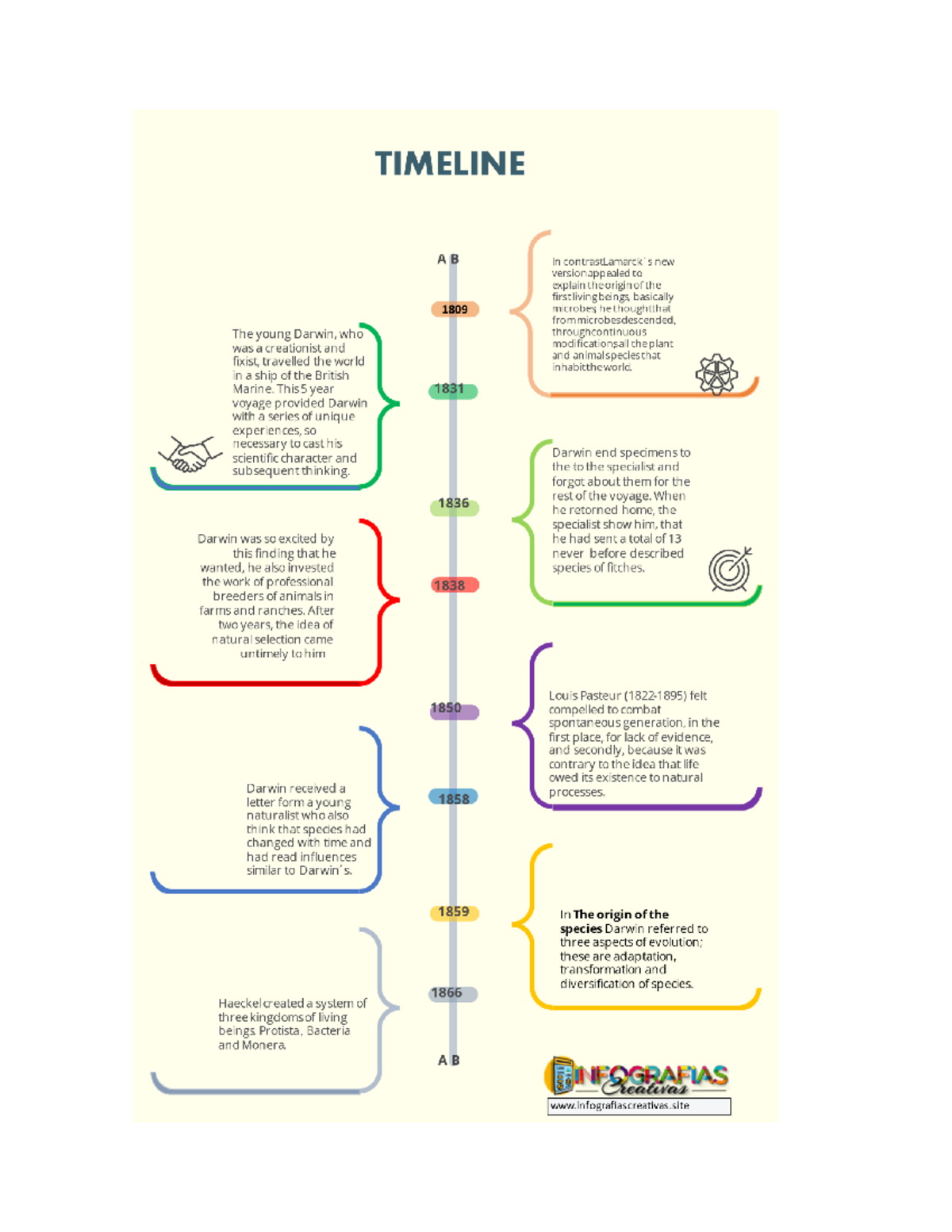 Timeline of the Nature of Life: Key Events and Milestones - Studocu
