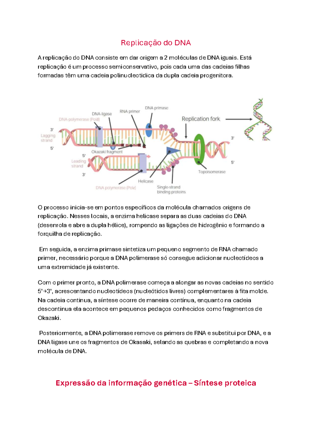 Replicação do DNA e Síntese Proteica: Fundamentos e Mutações - Studocu
