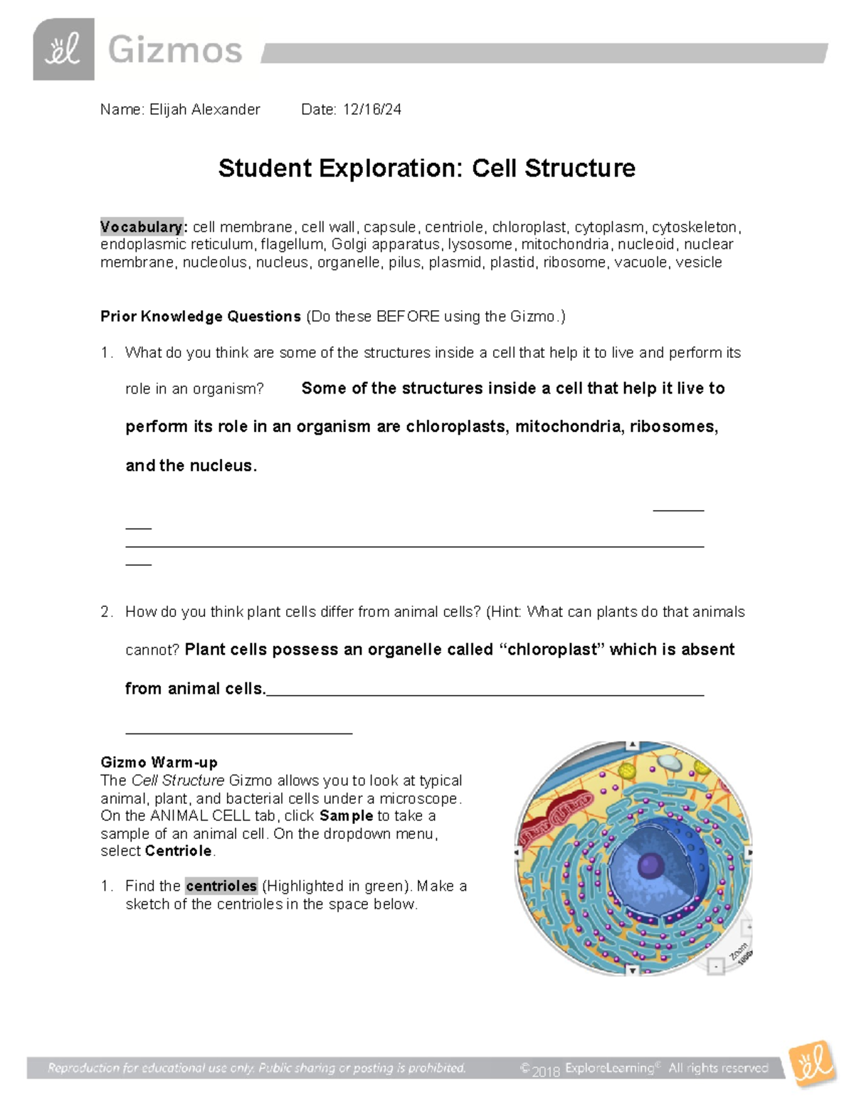 Cell Structure SE - Biology - Name: Elijah Alexander Date: 12/16 ...