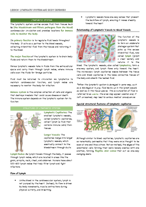 Digestive System - TRANSES - FIRST SEMESTER | 2024 – 2025 | SAMANTHA ...
