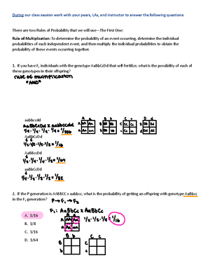 [Solved] What is the sequence of the synthesized DNA you read from the ...