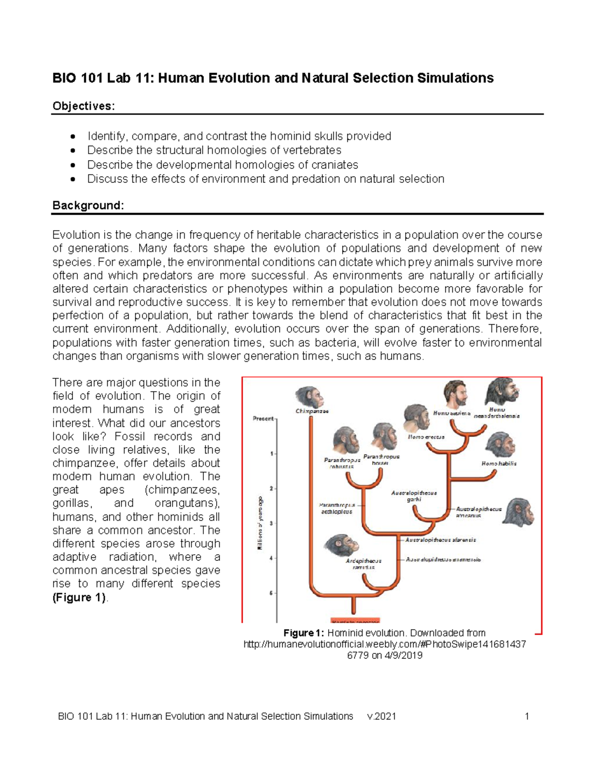 BIO101 Lab 11 Worksheets Evolution and Natural Selection Spring 2022 - BIO 101 Lab 11: Human ...