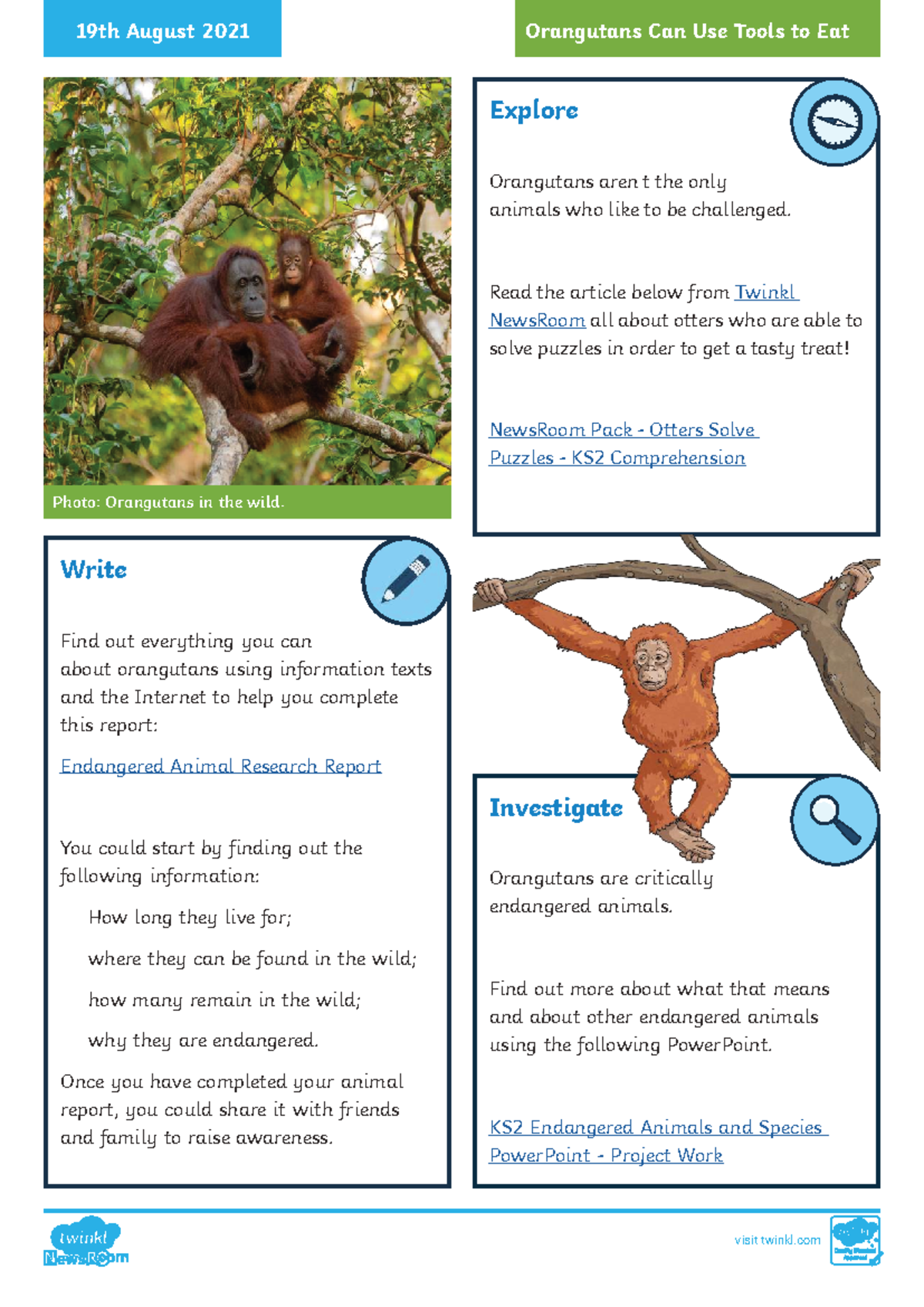 KS2 Endangered Animals: Orangutans and Their Tool Use Research Report ...