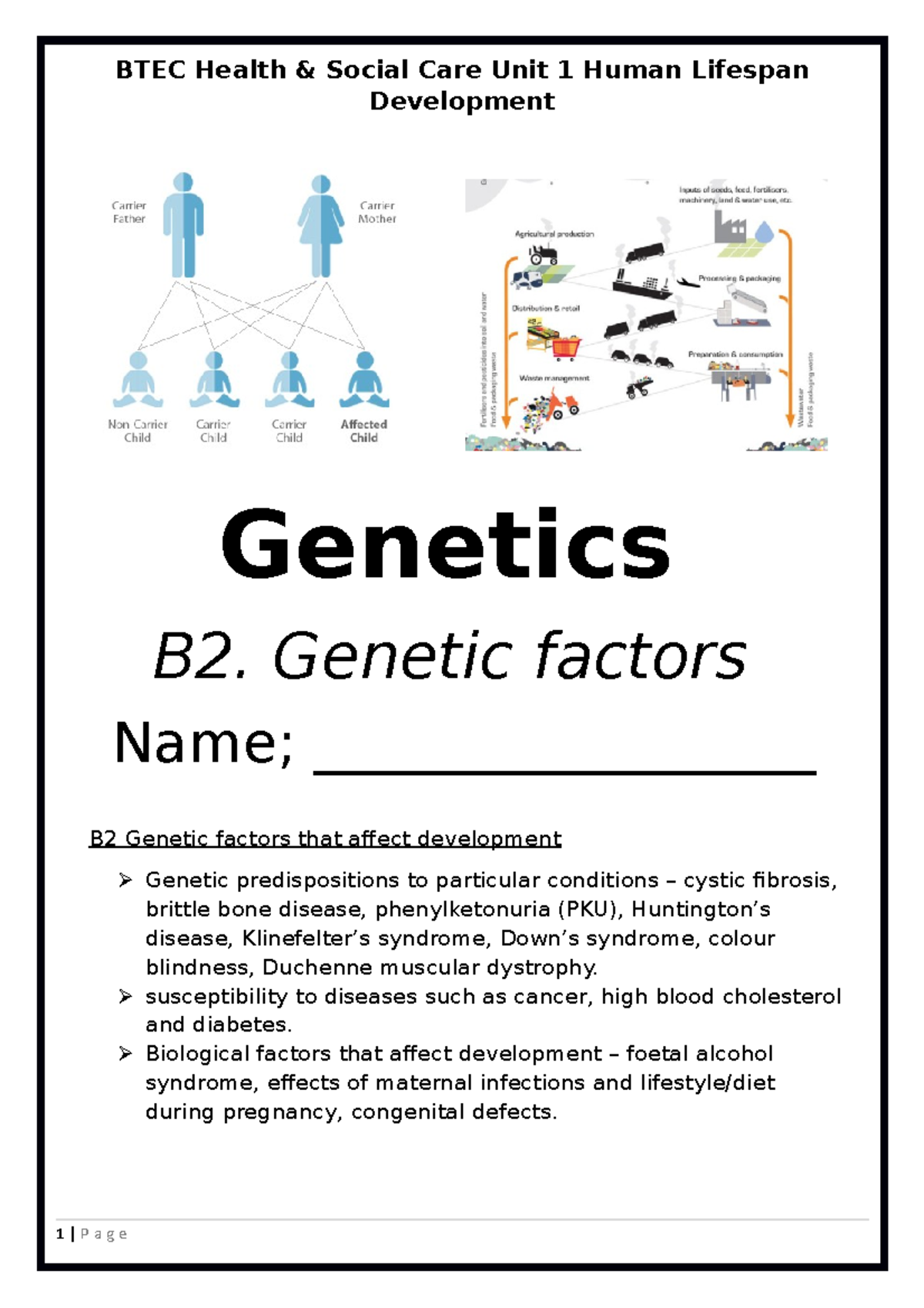 B2-Human Lifespan Development: Genetics and Genetic Factors Study Guide ...