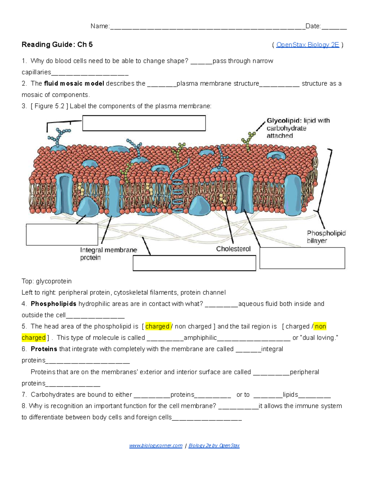 Reading Guide: Ch 5 - OpenStax Biology 2E - Studocu
