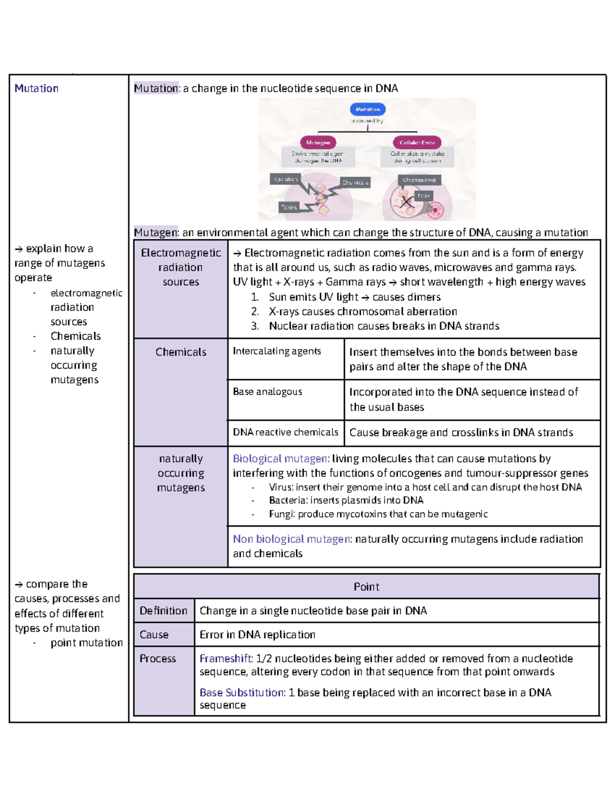 Genetic Change: Understanding Mutations and Their Impacts in Biology ...