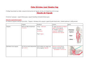 Tableau des muscles - synthèse - BIME-I-101 : les muscles Membre inf 1 ...