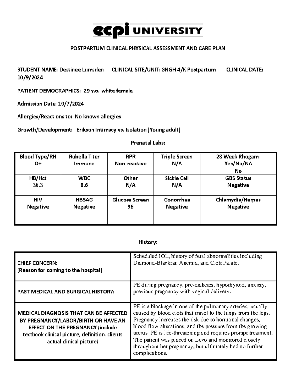 Postpartum careplan Lumsden - POSTPARTUM CLINICAL PHYSICAL ASSESSMENT ...