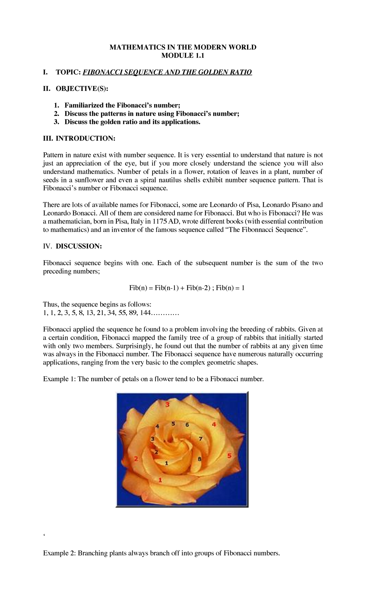 MMW Module 1.1 - Exploring the Fibonacci Sequence & Golden Ratio - Studocu