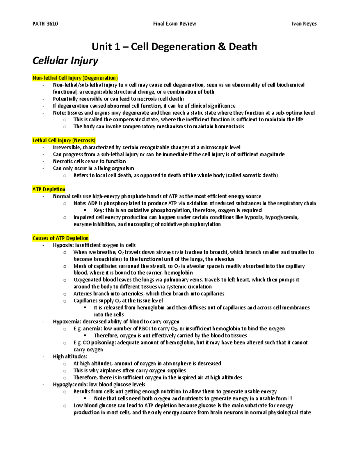 PATH 3610 Final Exam Review - Unit 1 – Cell Degeneration & Death ...