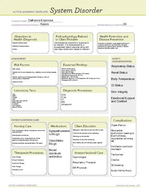 Seizure System Disorder - ACTIVE LEARNING TEMPLATES System Disorder ...