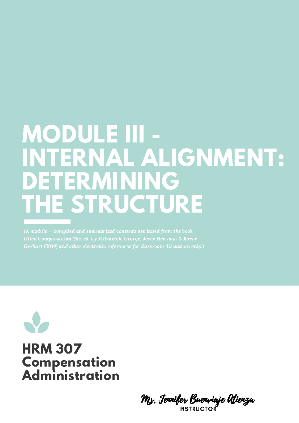 HRM 307 Module 3: Internal Alignment in Compensation Administration ...