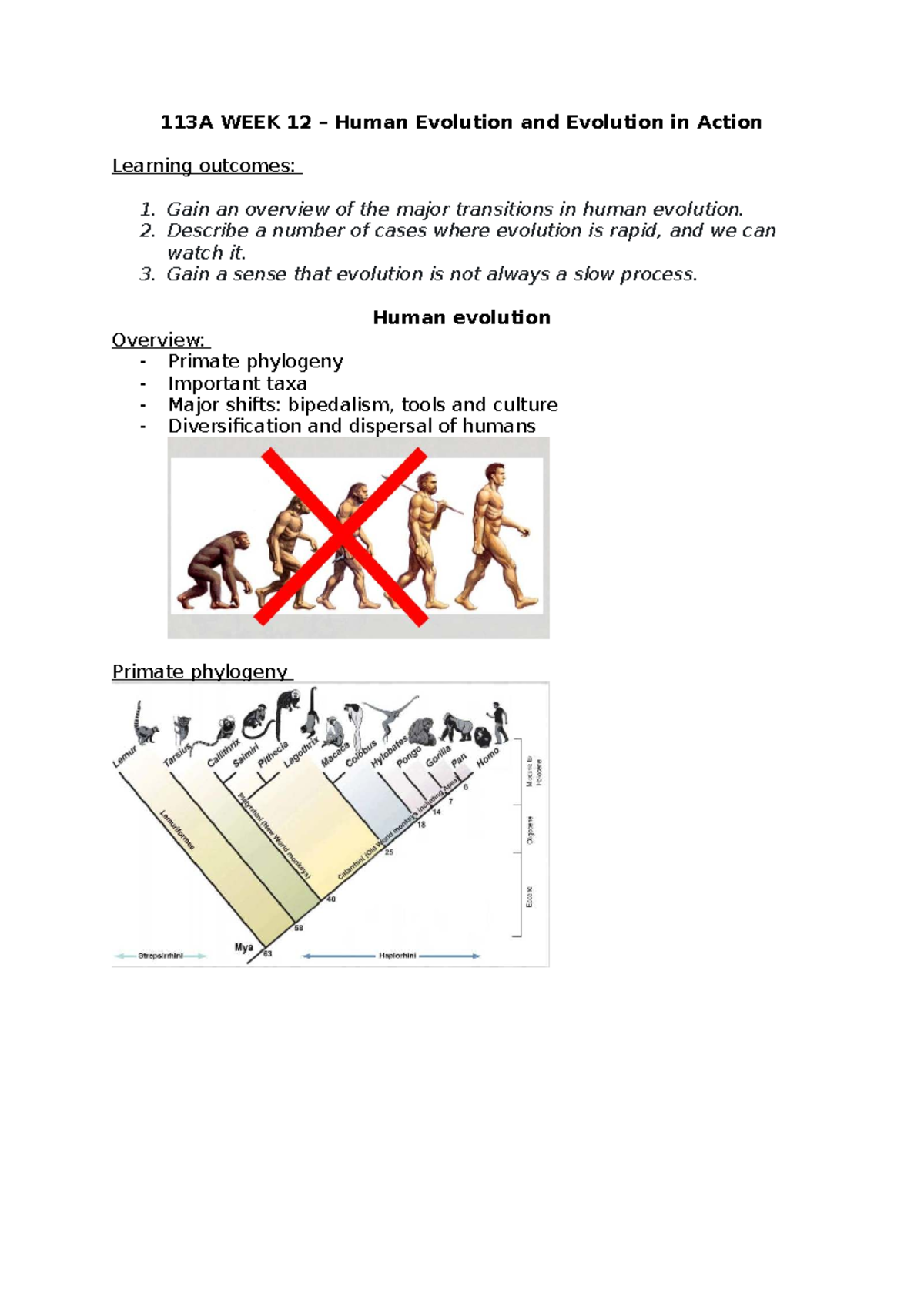 113A W12 – Overview of Human Evolution and Rapid Evolutionary Changes ...