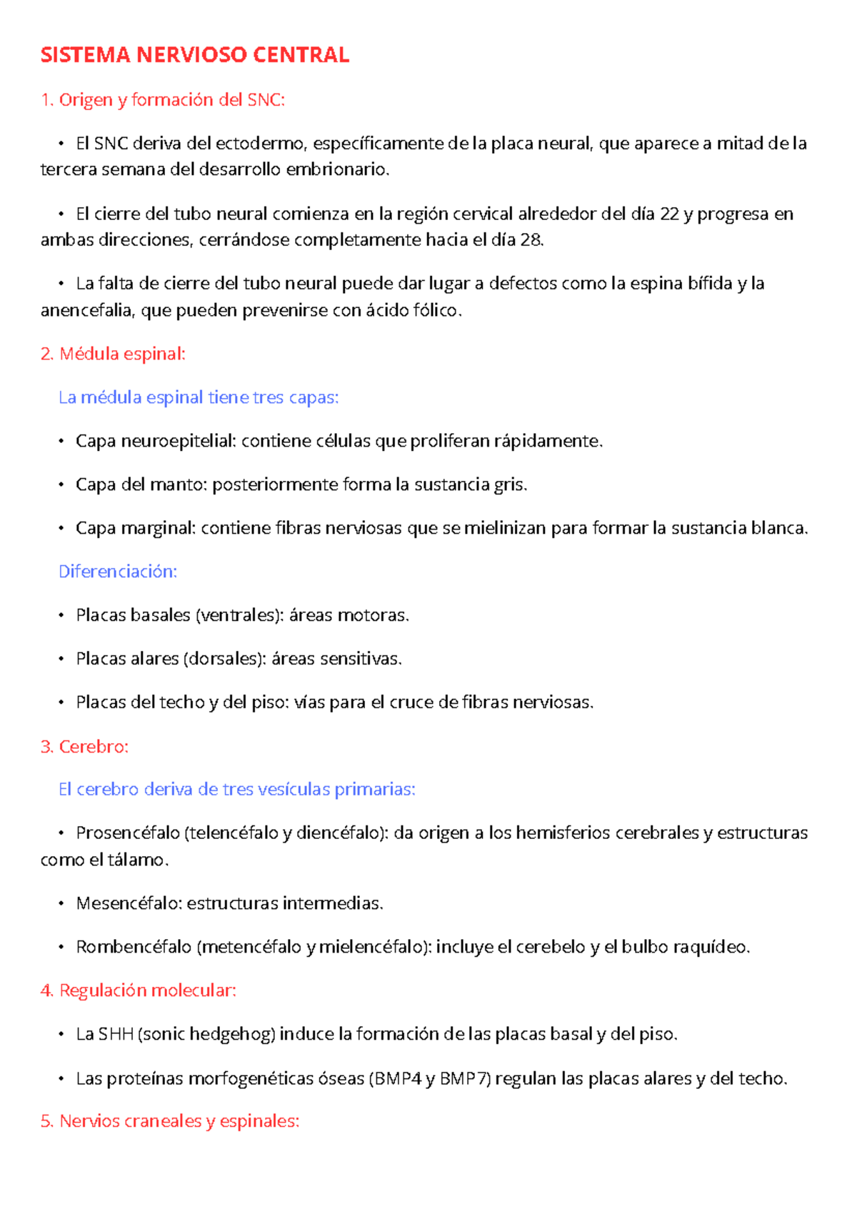 Embrio - SISTEMA NERVIOSO CENTRAL Origen y formación del SNC: El SNC ...
