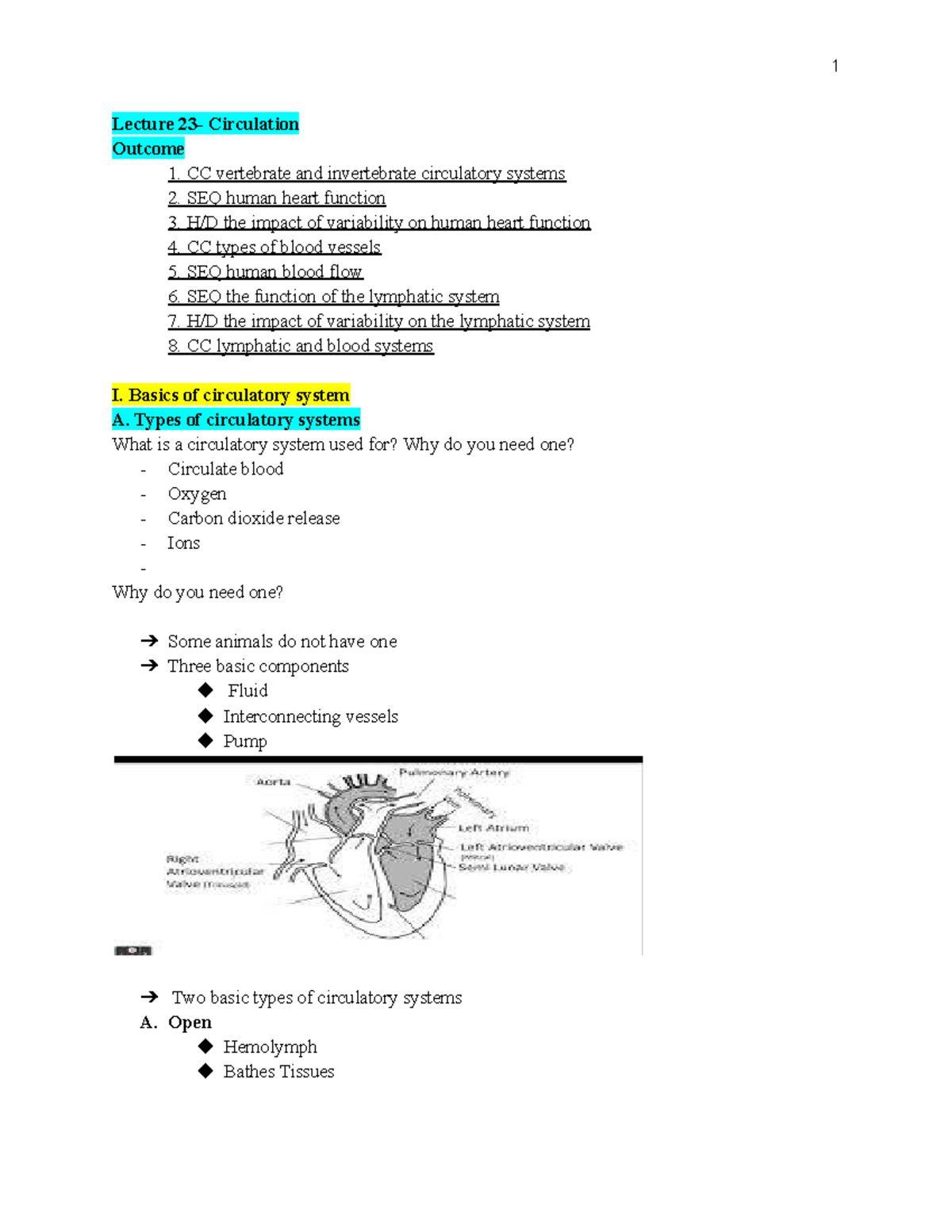General Biology 2 - Lecture 23: Circulatory Systems Overview - Studocu