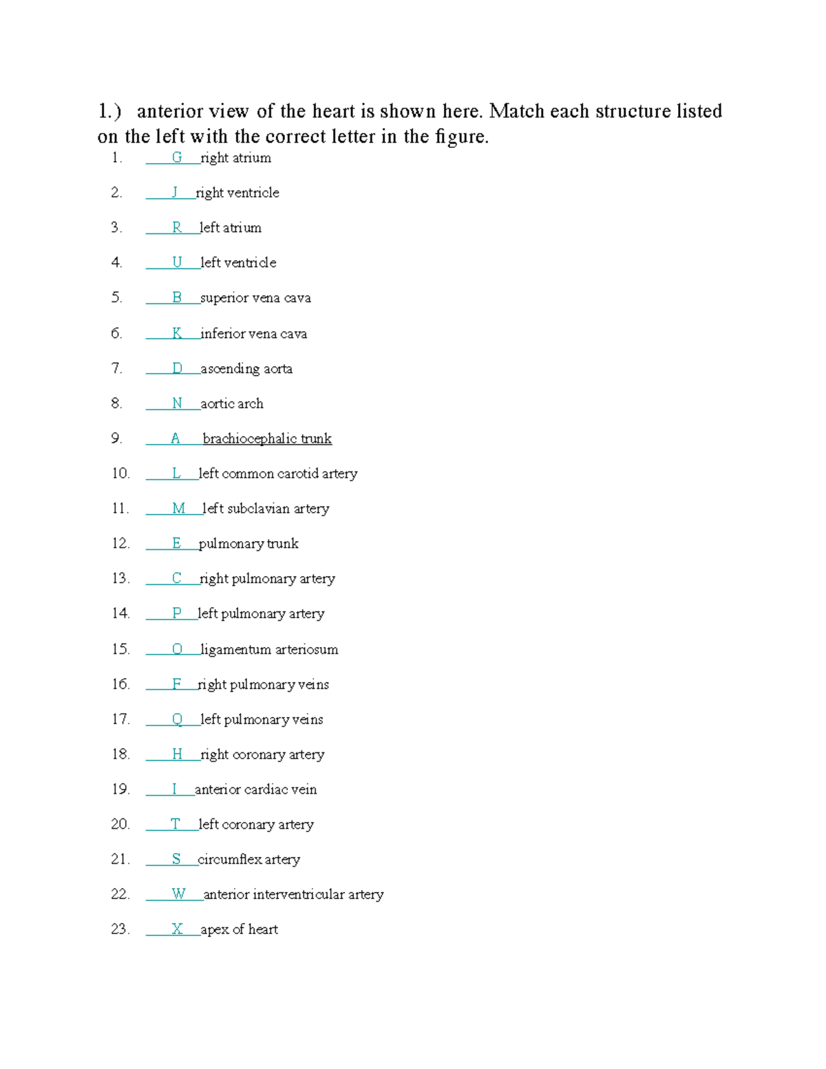 Exercise 30 review sheet - 1.) anterior view of the heart is shown here ...