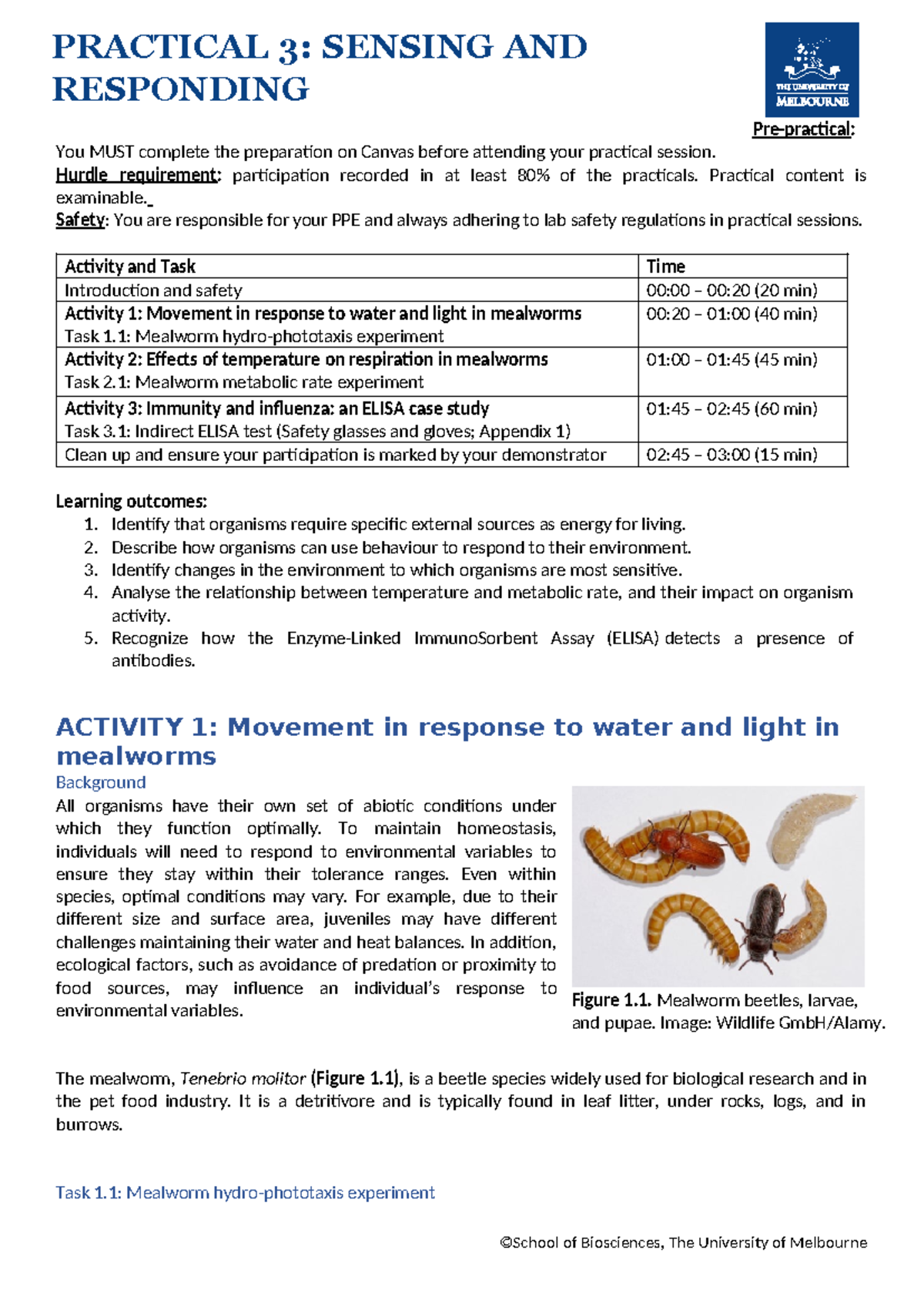 Practical 3: Sensing and Responding in Mealworms and Immunity - Studocu