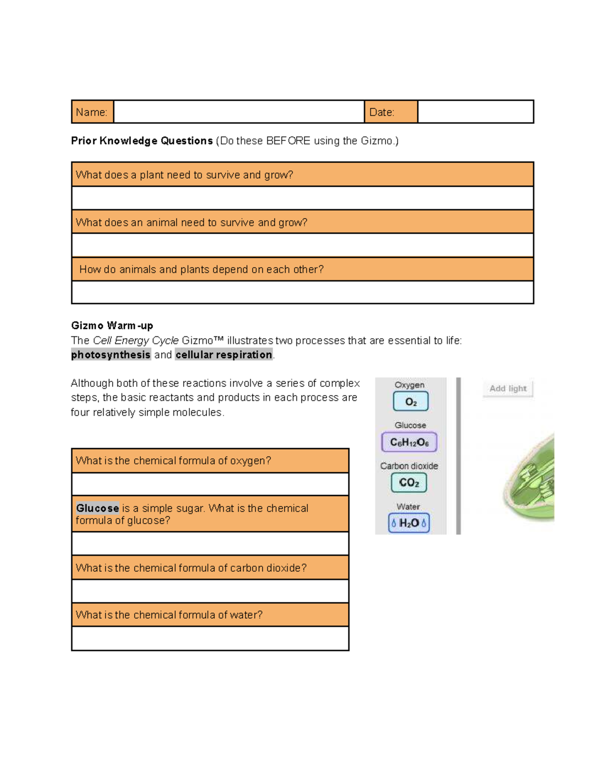 M4 L2 Gizmo Simulation: Understanding the Cell Energy Cycle - Studocu