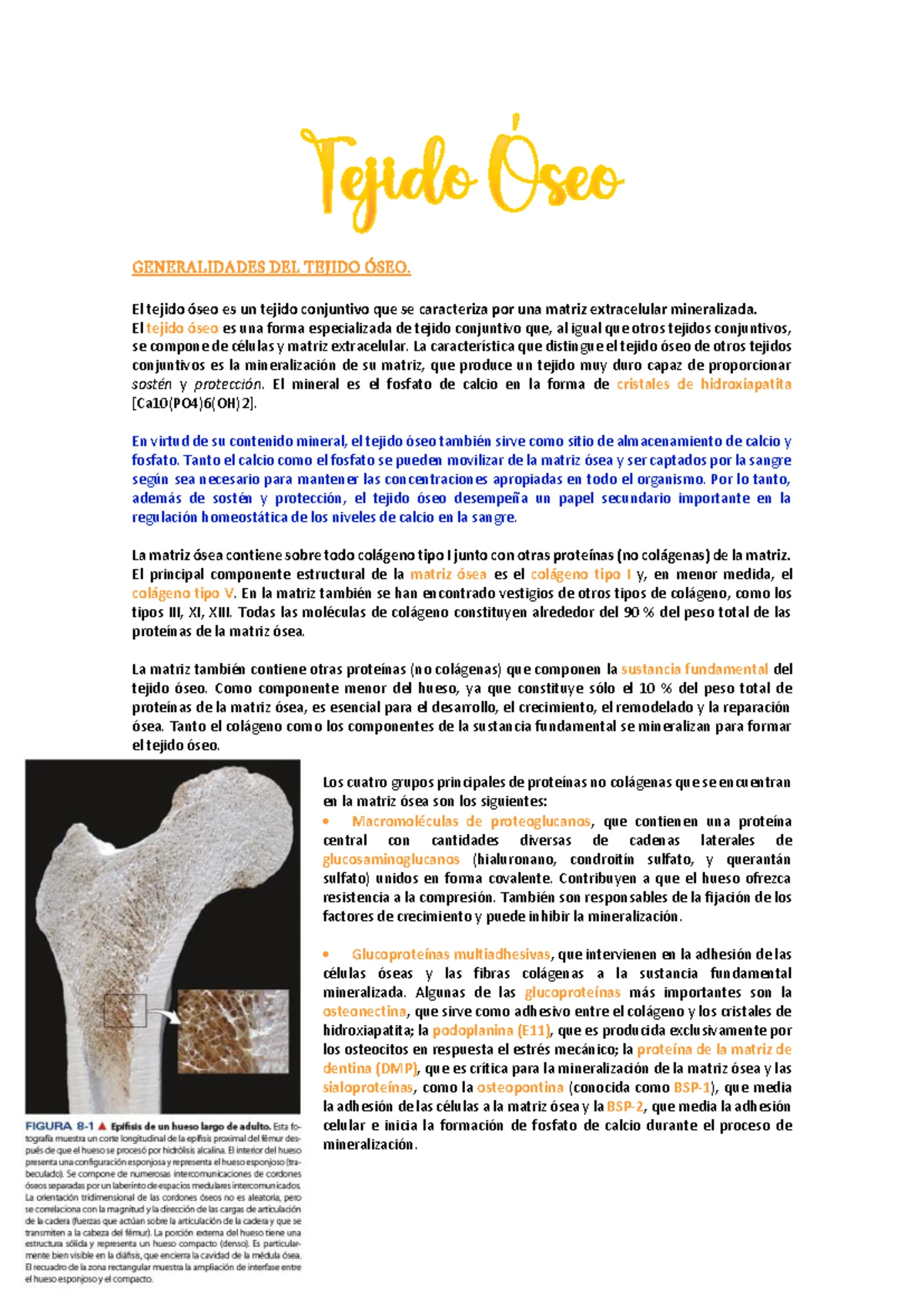 Tejido Muscular ROSS - Ross. Histología: Texto Y Atlas - GENERALIDADES ...