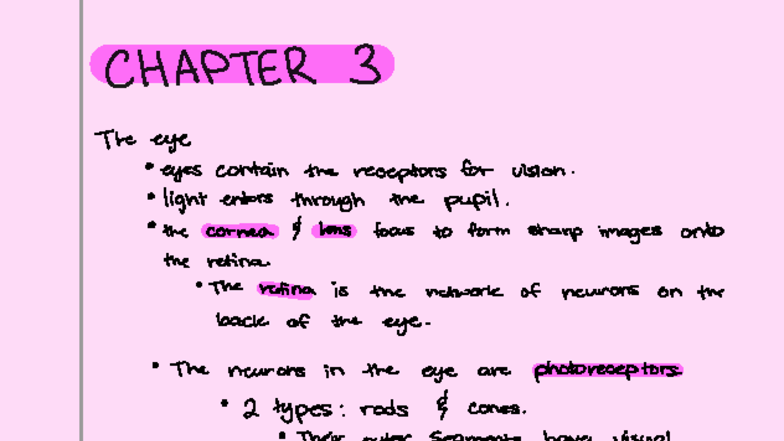 CHAPTER 3: Understanding the Eye's Structure and Function - Studocu