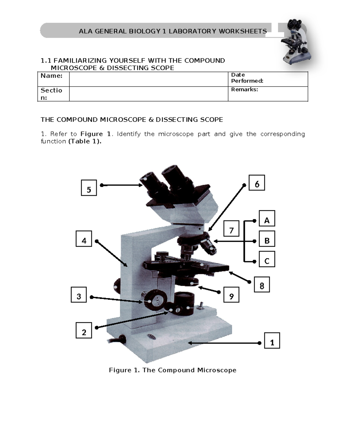01A ALA GENERAL BIOLOGY 1 Lab Worksheets: Basic Microscopy Exercises - Studocu