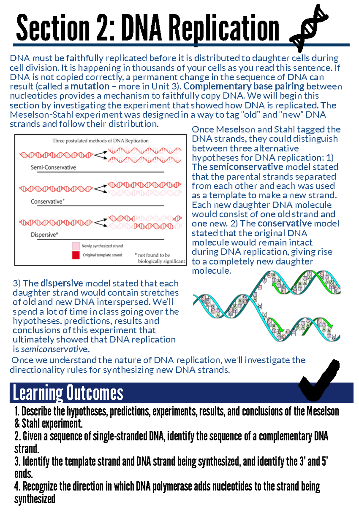 DNA Replication: Insights & Analysis from Meselson-Stahl Experiment ...