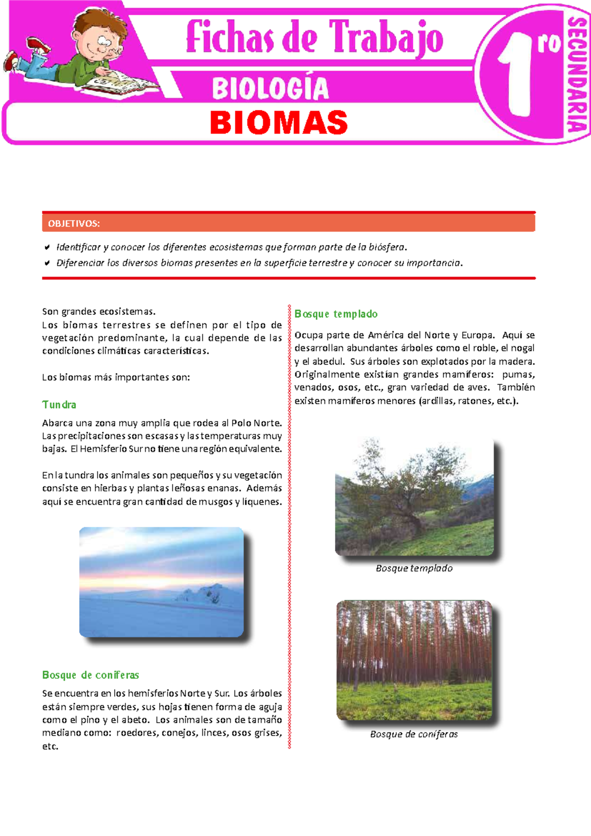 Hoja De Trabajo Sobre Los Biomas Del Mundo Biomas Para Primero De