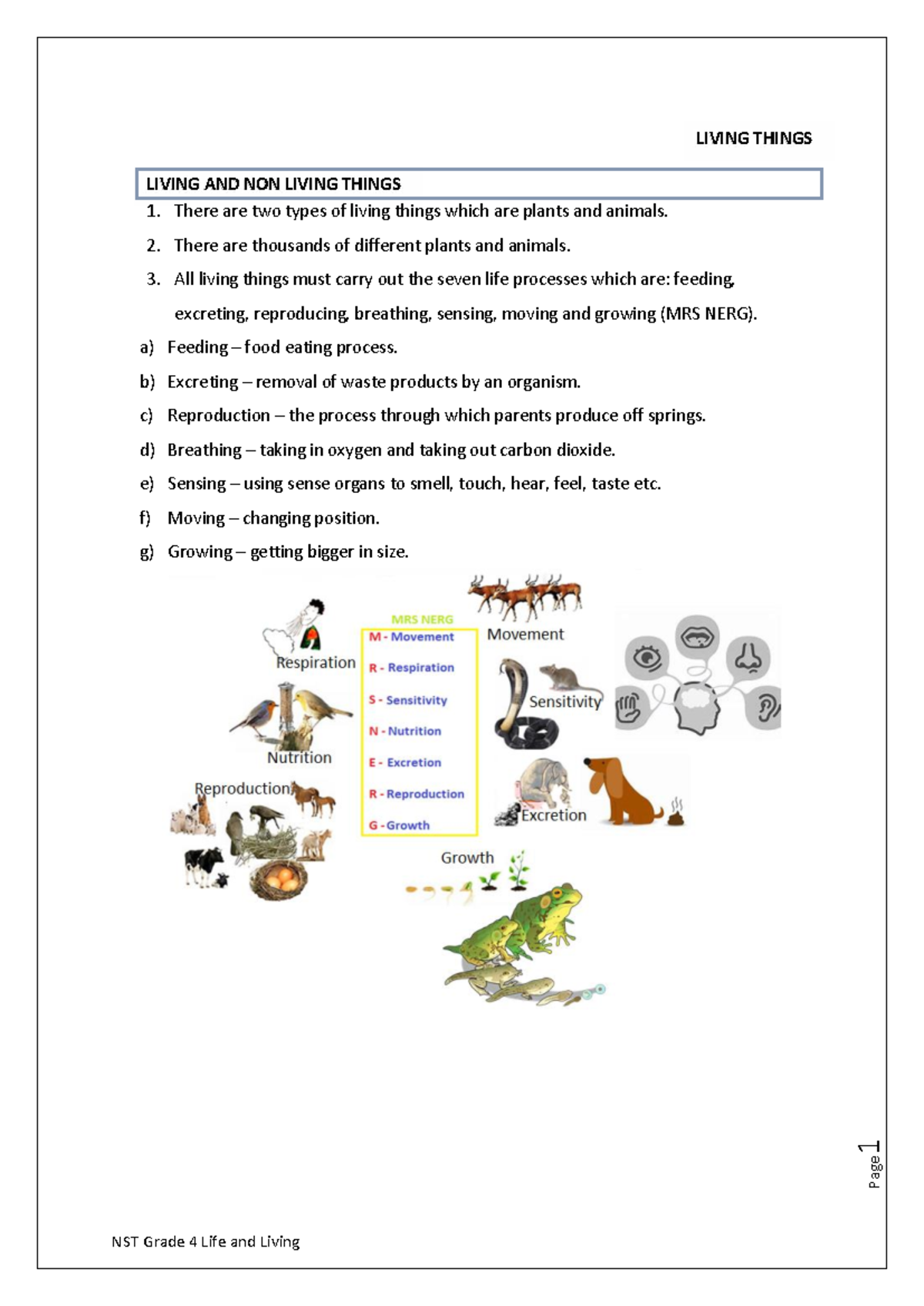 NST Grade 4 Life and Living - Understanding Living and Non-Living ...