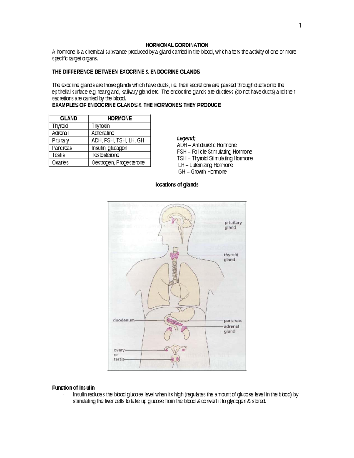 Hormonal Coordination: Understanding Endocrine and Exocrine Glands ...