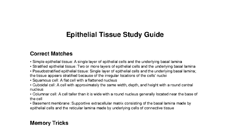 Epithelial Tissue Study Guide: Types & Characteristics - Studocu